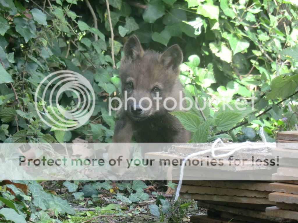 Zoos del Mundo - Basondo - Otros zoológicos españoles