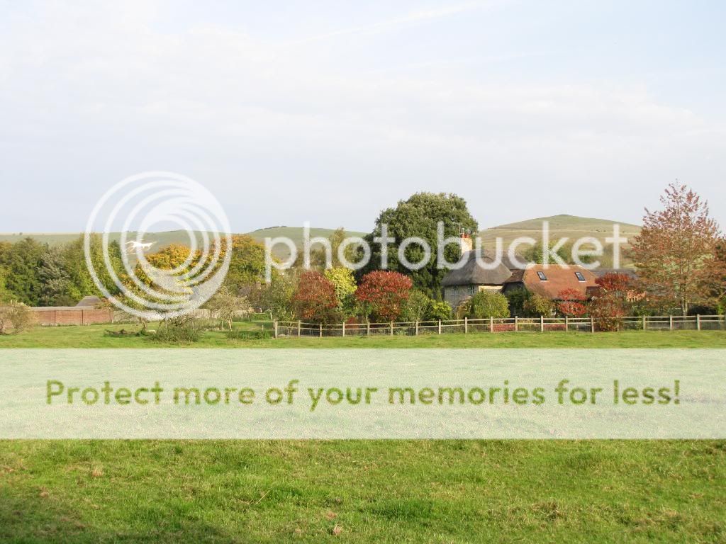 Pewsey Downs Wiltshire