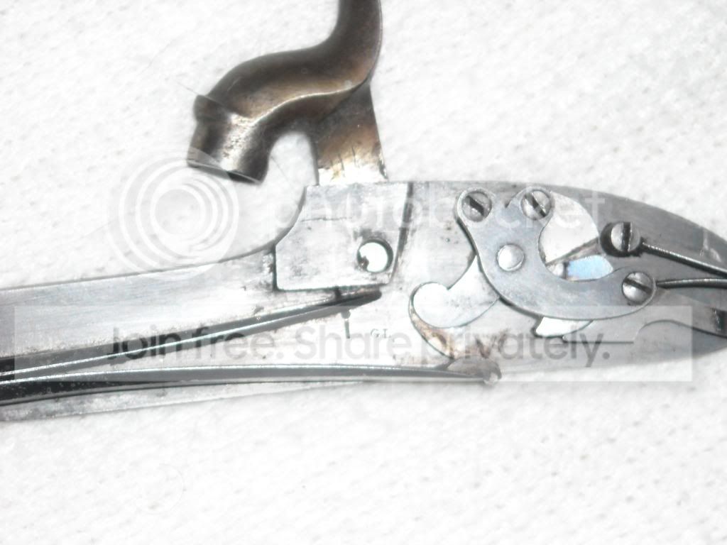 Jaeger Rifle? | The Muzzleloading Forum